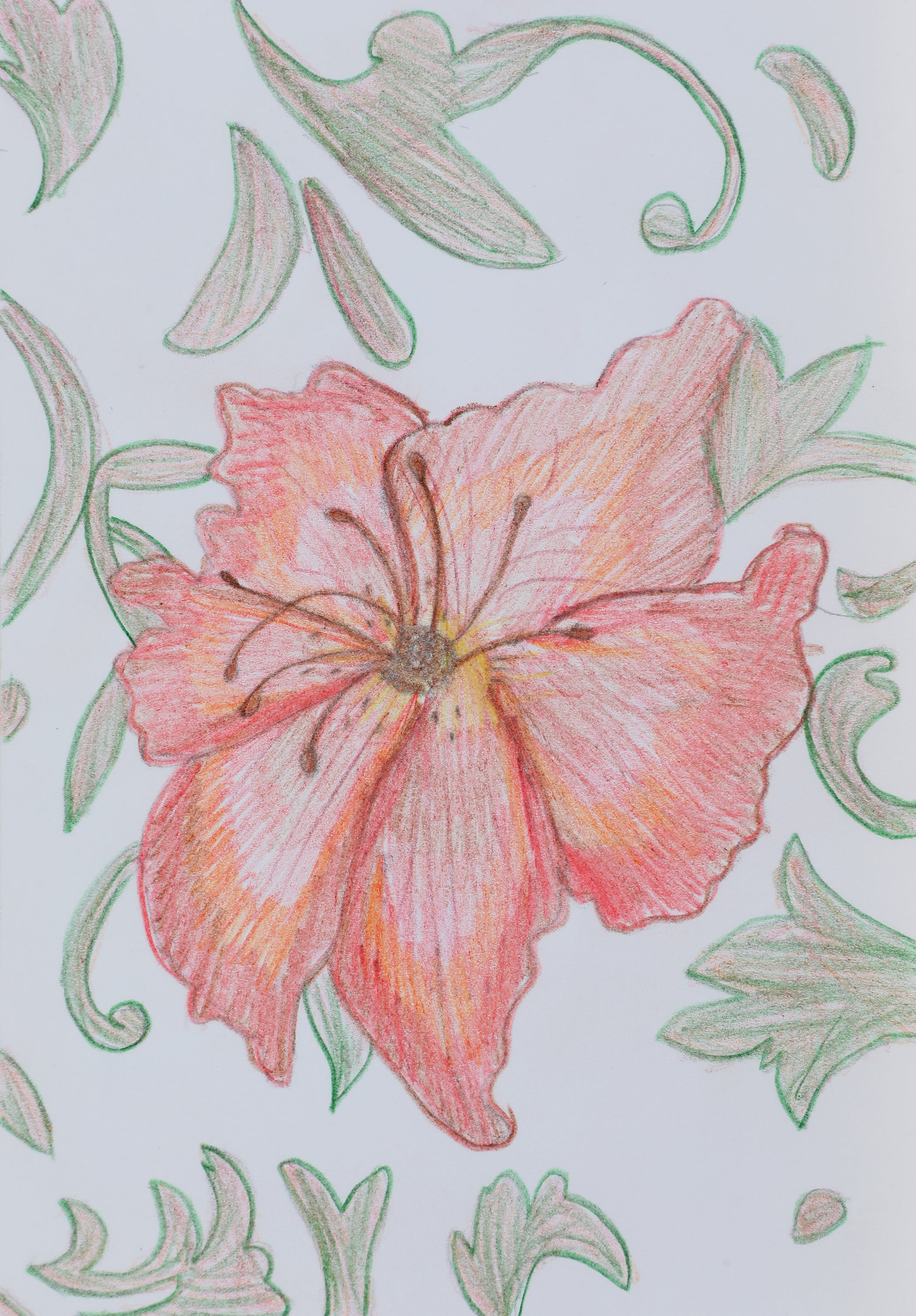 JJ25:0717 – Jack & Jill Childrens Foundation