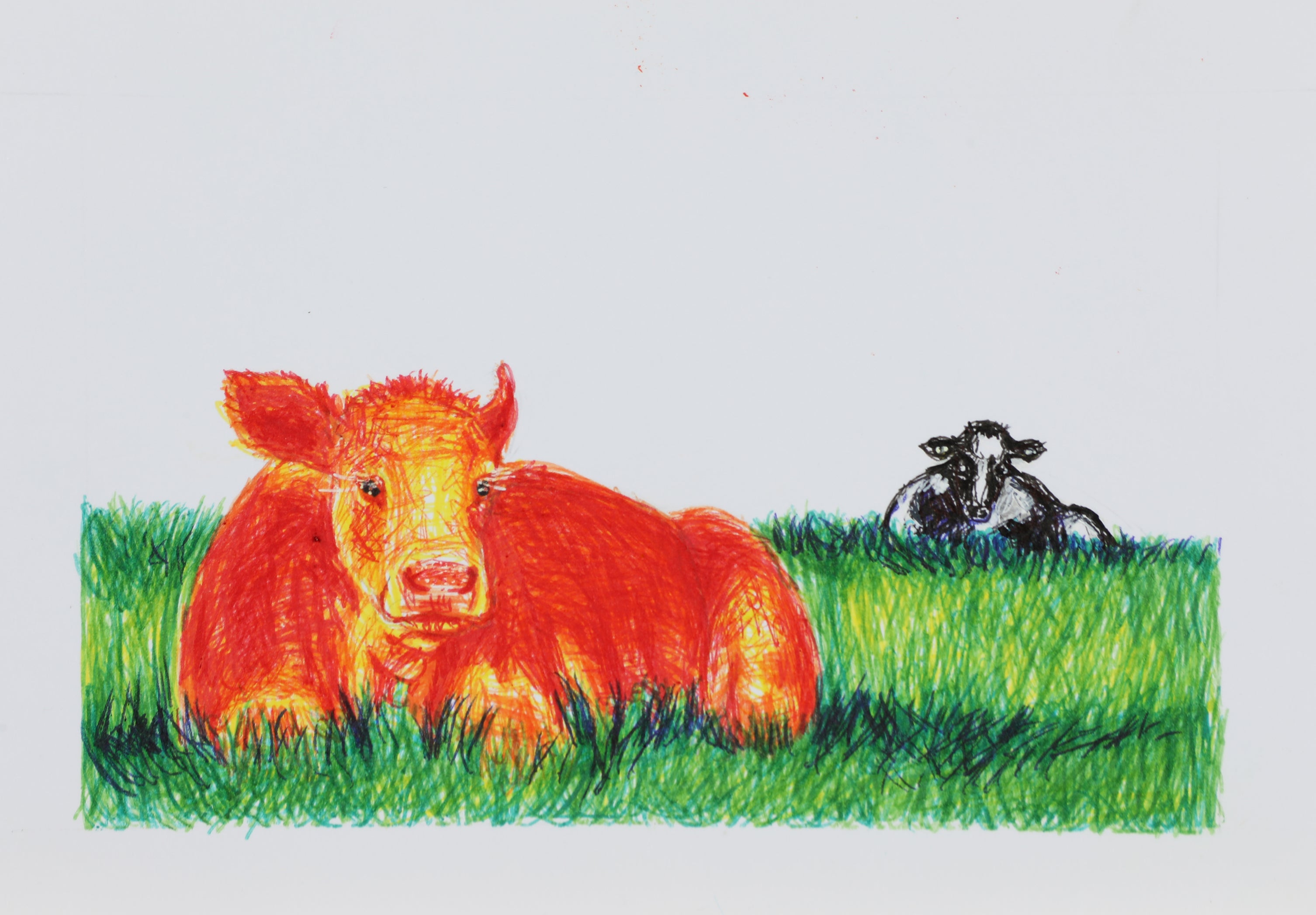 JJ25:1576 – Jack & Jill Childrens Foundation